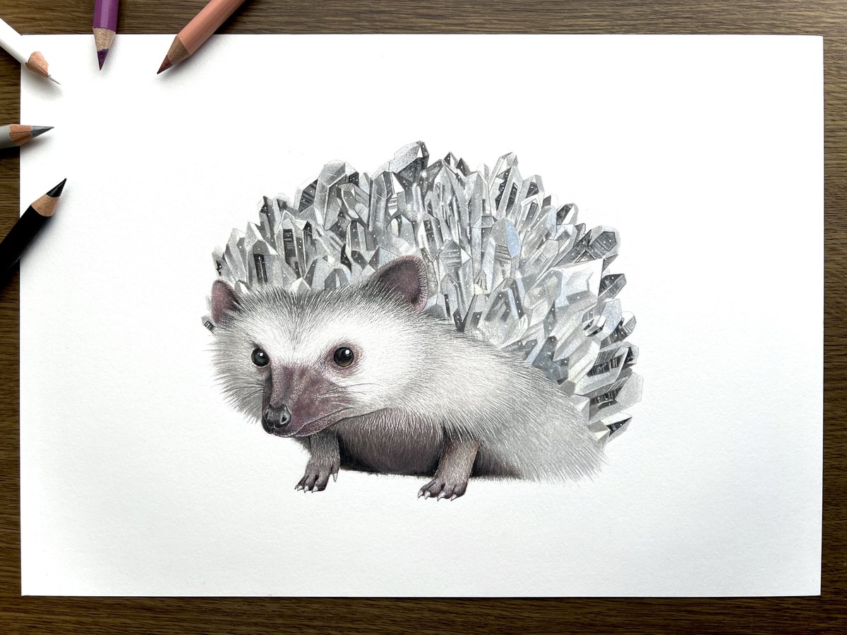 宵子(よいこ)🪶 on Twitter: "RT @yuichiro_abe: #アナログ絵で魅せてみよ 色鉛筆で描いた『生物×宝石』いいでしょ"