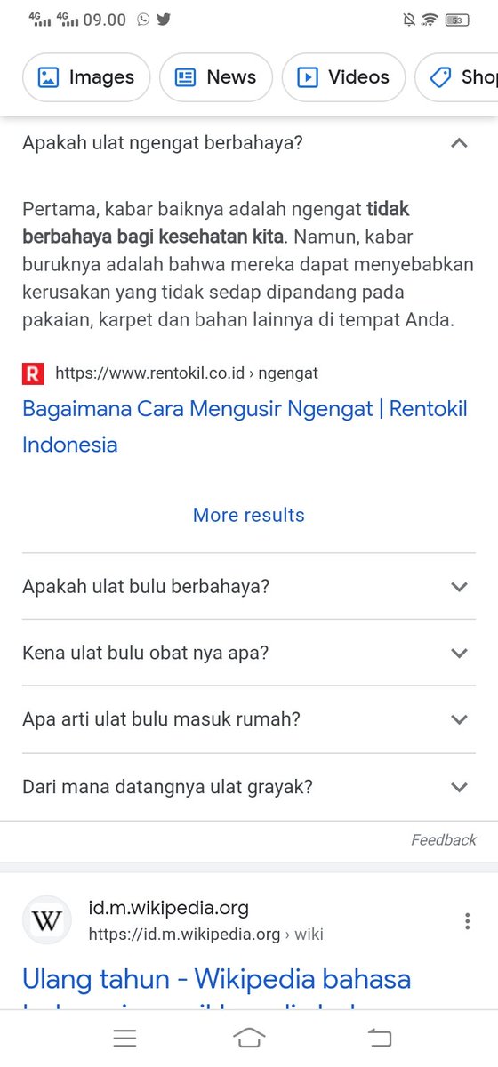 🇮🇩ᵘ 𖧵⁷ || REST. on Twitter: "Kupu² Segede piring emg ada biasa dikenal kupu2 gajah tp ulatnya ...