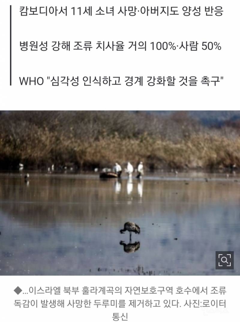 인스티즈(instiz) on Twitter: "조류독감으로 캄보디아 11세 소녀 사망하자 WHO "상황 걱정스럽다" https://instiz.net/pt/7333136"