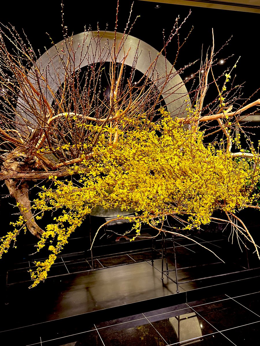 Emimaru(@Emi_maru) - Twilog