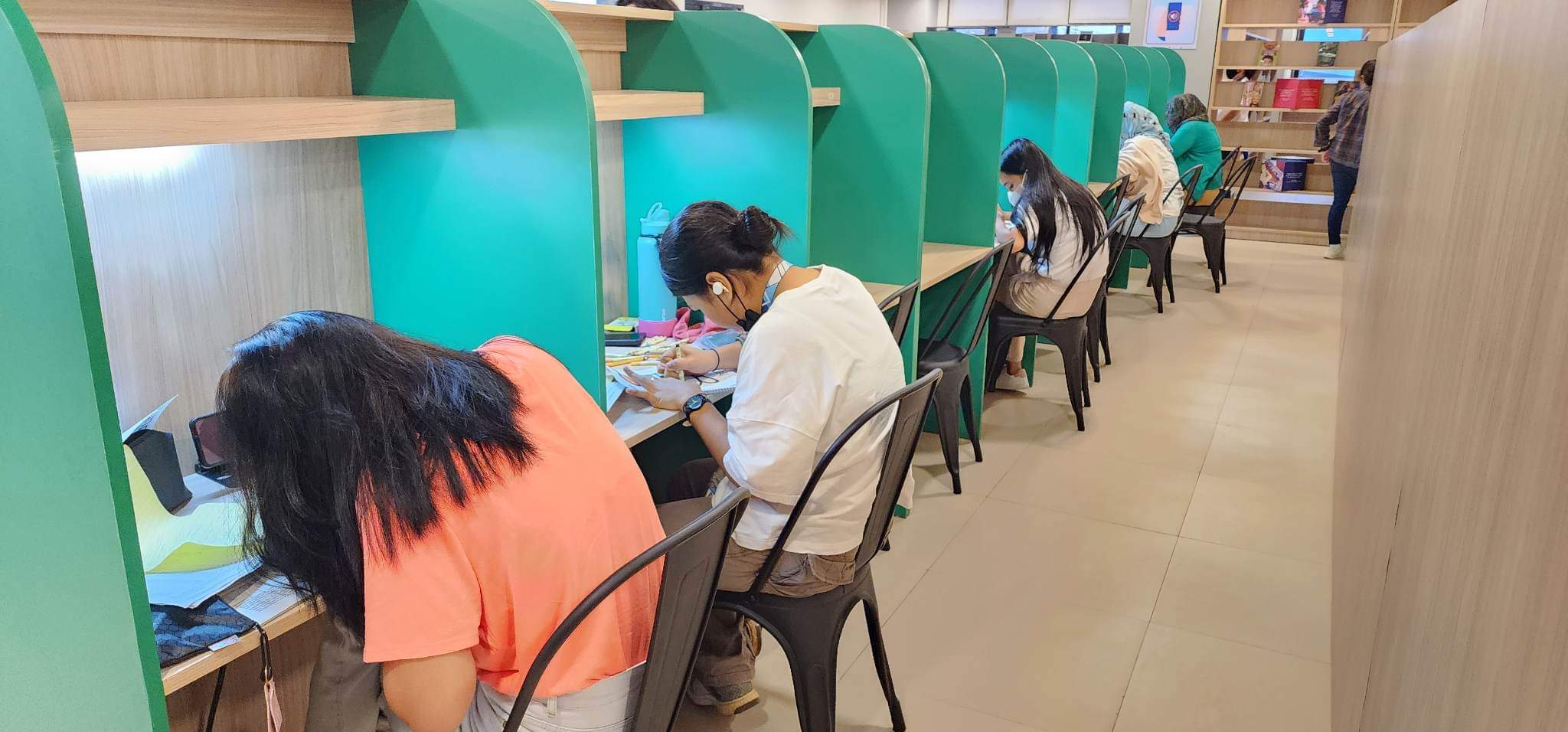 Valmasci Logo World Bank Document