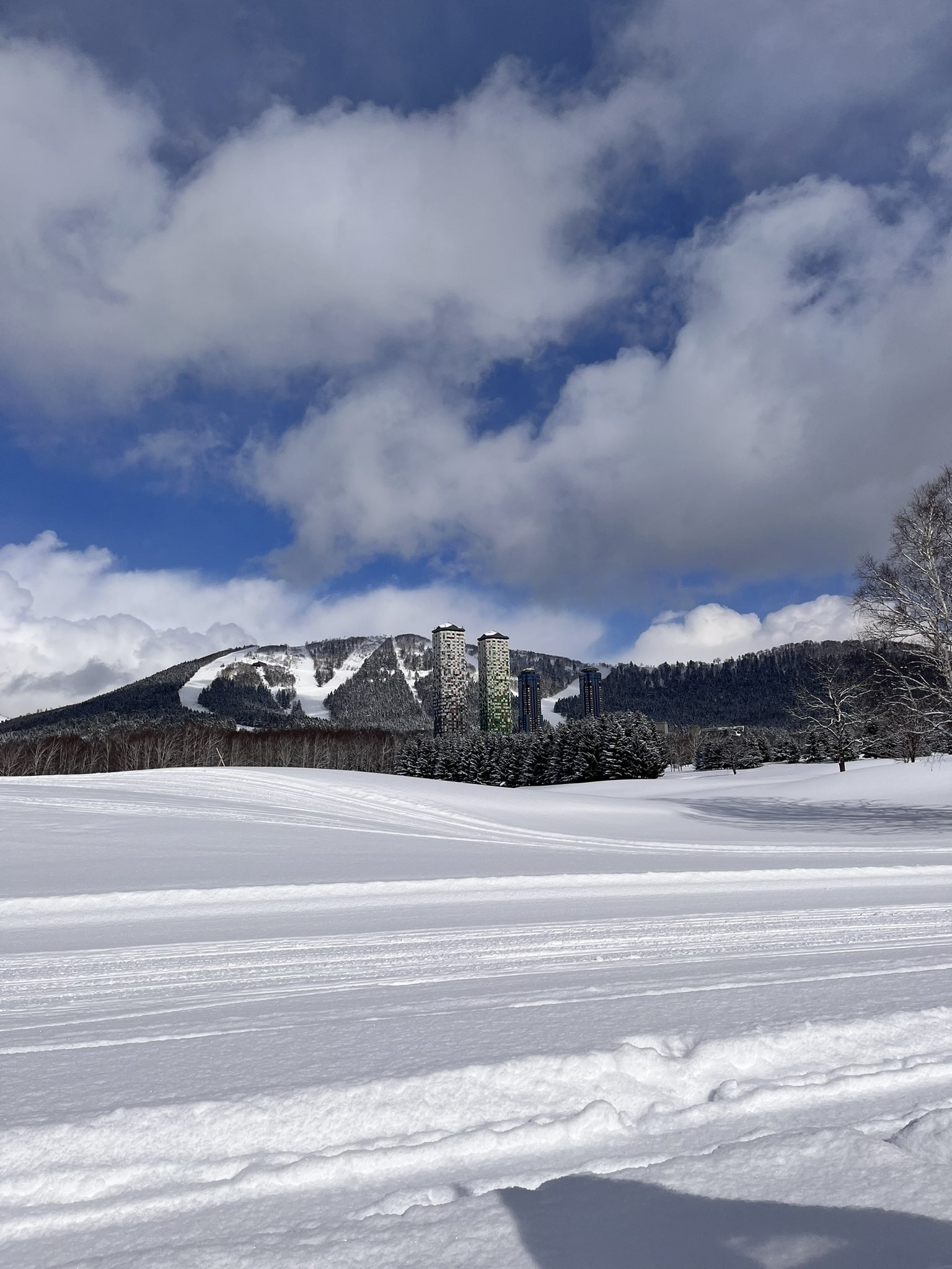 遠藤幸子（Yukiko Endo） (@SEmaps_Yukko) / Twitter