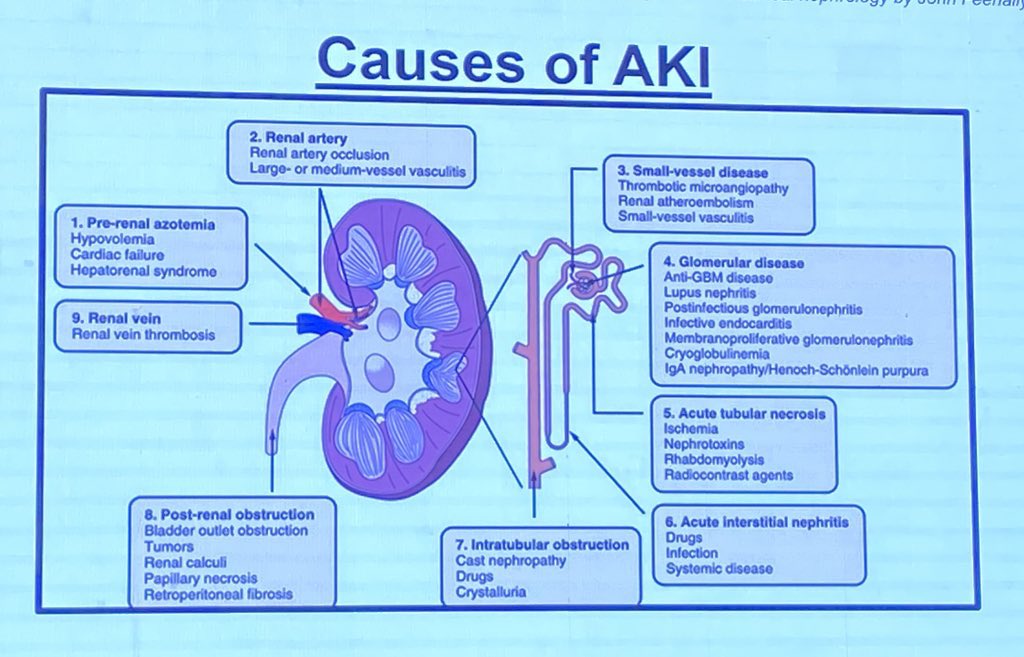 dr-ganesh-srinivasa-prasad-on-twitter-rt-nephromythri-raja-1980