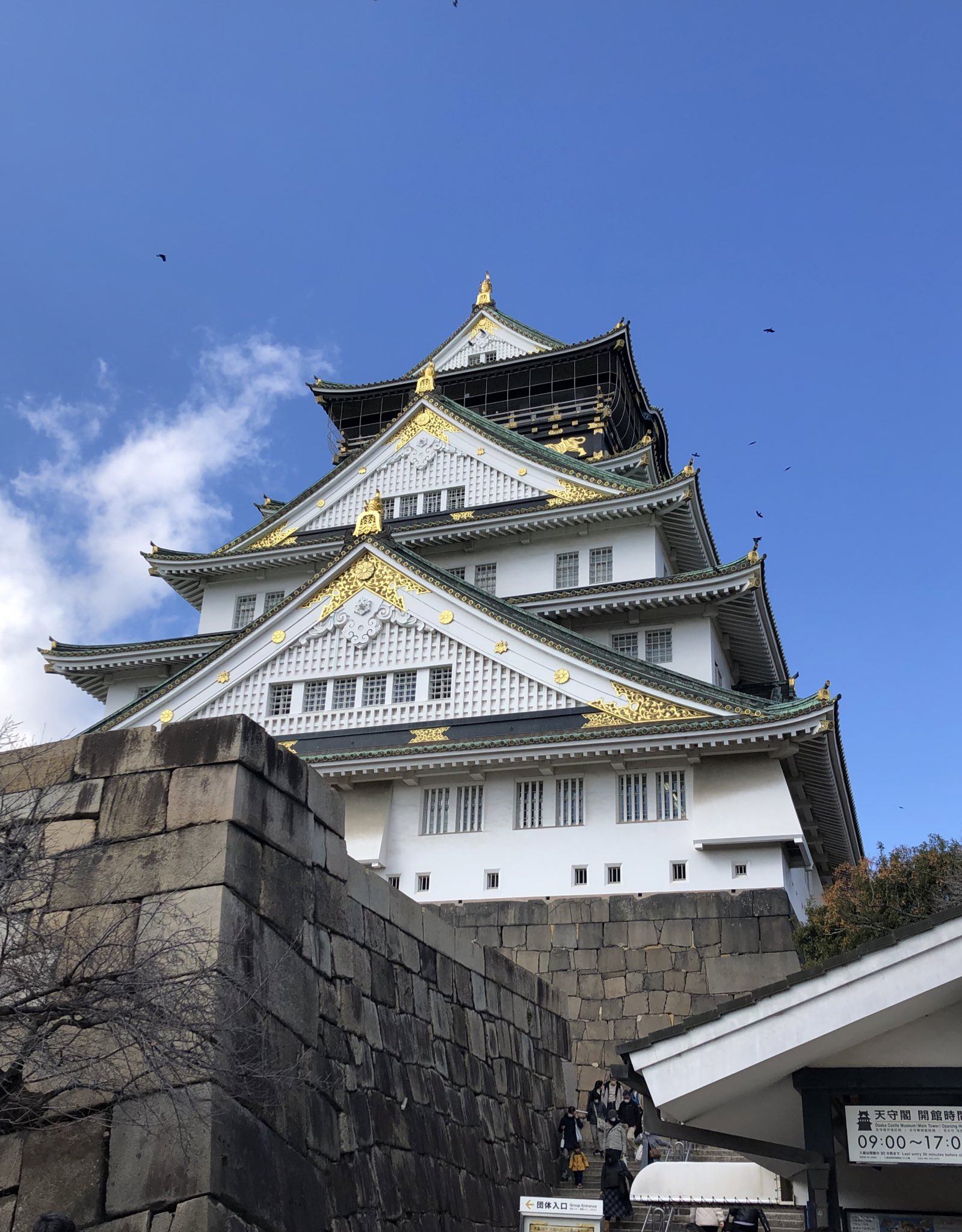 ひるね (@hirune924) / Twitter