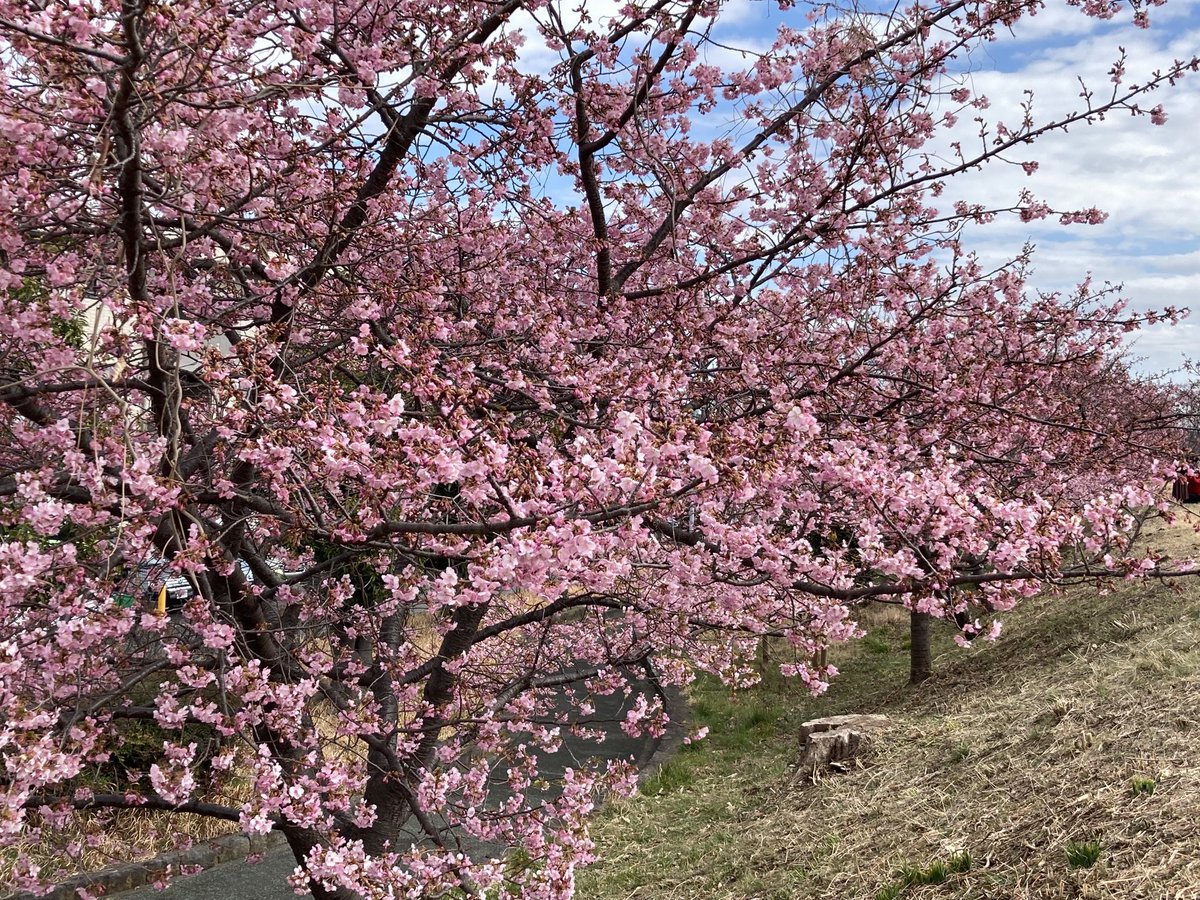 Aki Takeuchi(@noelsora) - Twilog (ツイログ)