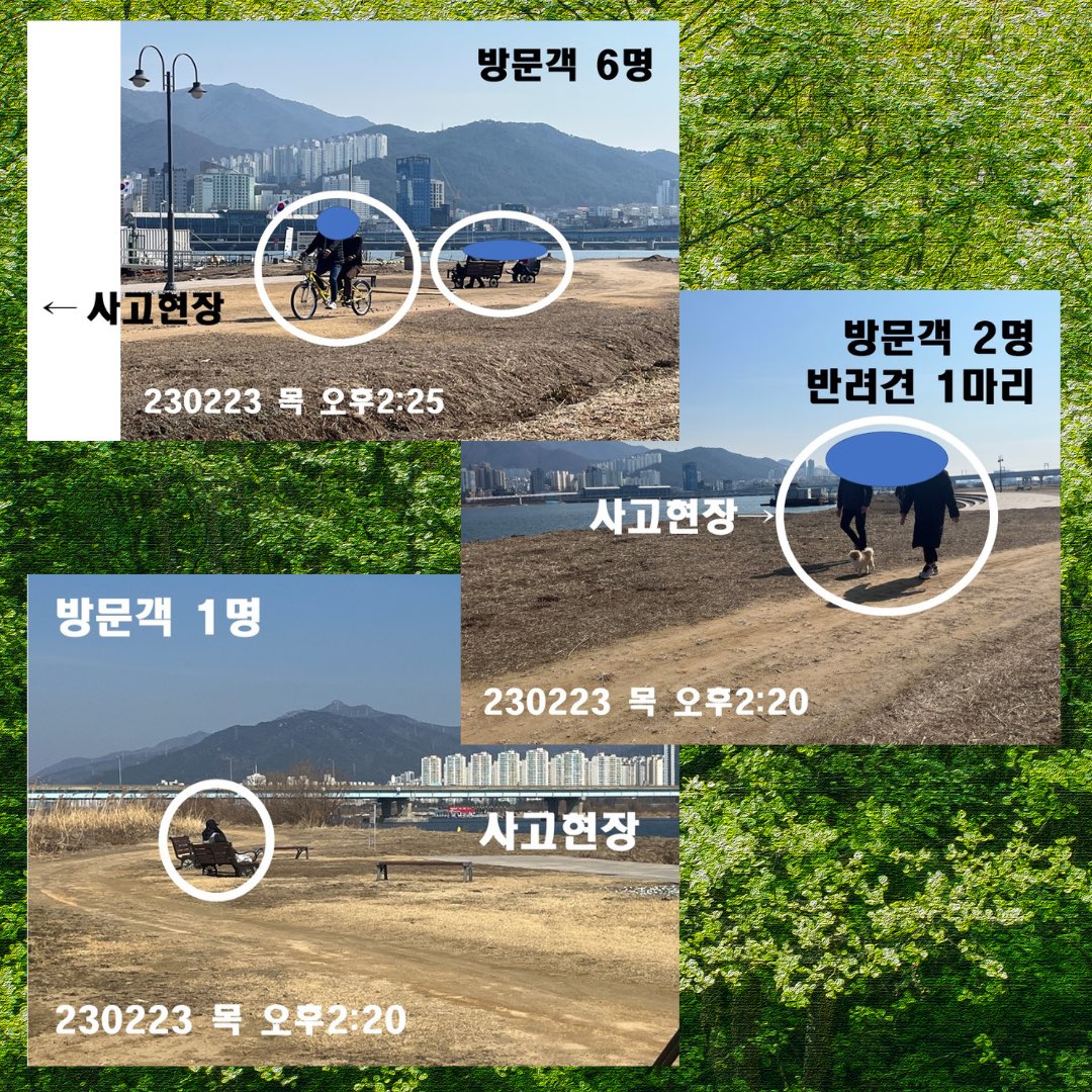 Jindo Dad On Twitter 낙동강관리본부는 저 희 사고장소가 인적이 드문곳이라고 주장합니다 21분동안 23 명의 방문자와 3마리의 반려견을 보았습니다