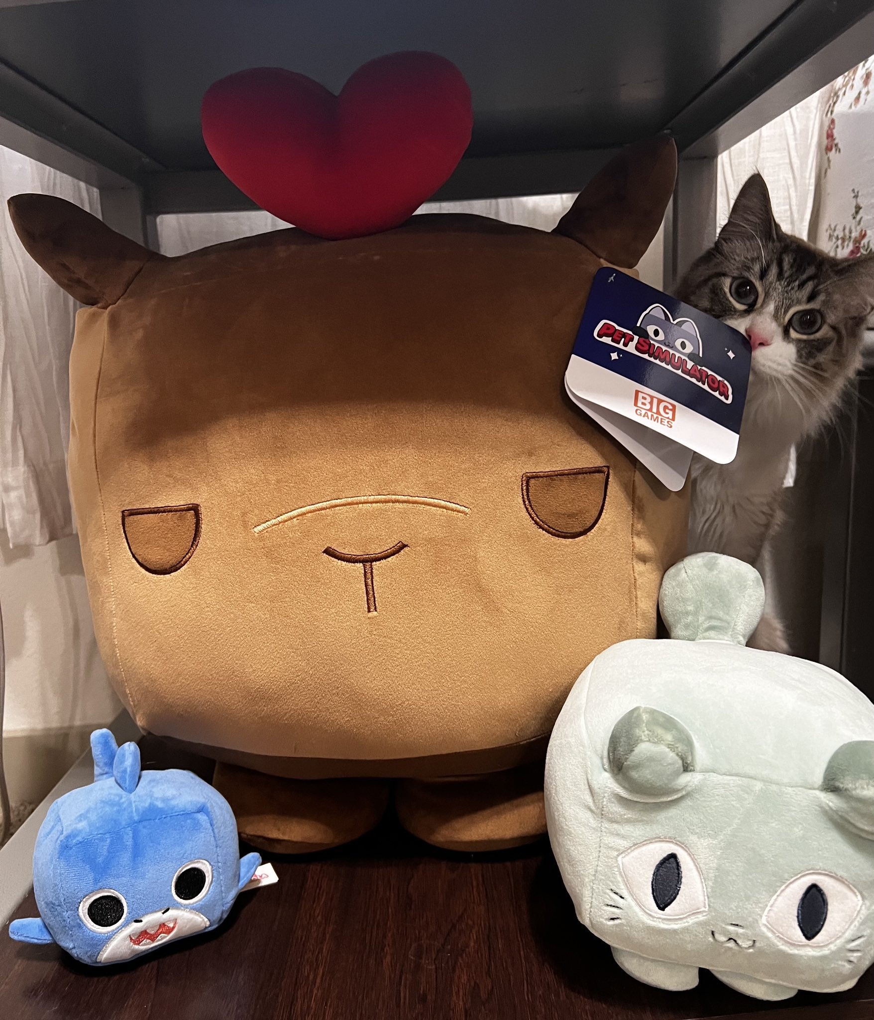 Pet Sim X News 🐾 on Twitter: "All titanic plushie leaks so far! 👀 https://t.co/r238BHRJy0" / Twitter