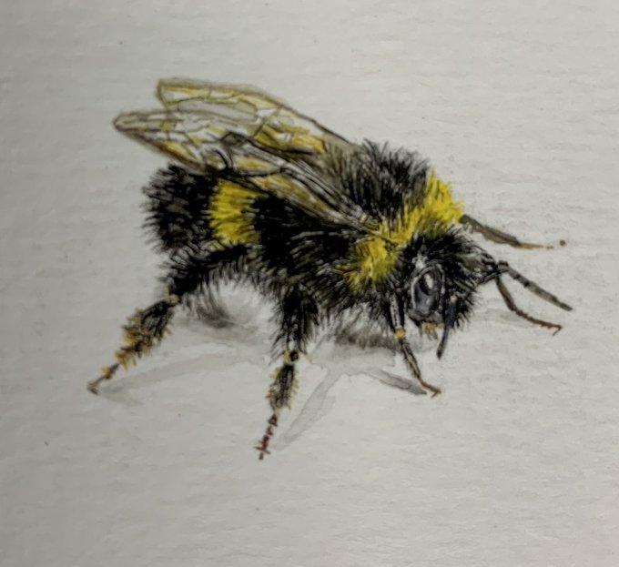 JACLOT (@jaclotworks) さんのイラスト・マンガ作品まとめ (7 件) - Twoucan