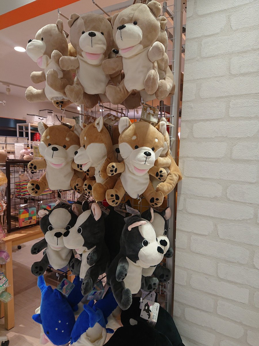 【300均パトロール】スリーコインズ・スリーピー・illusie300の戦利品まとめ！ | Jocee