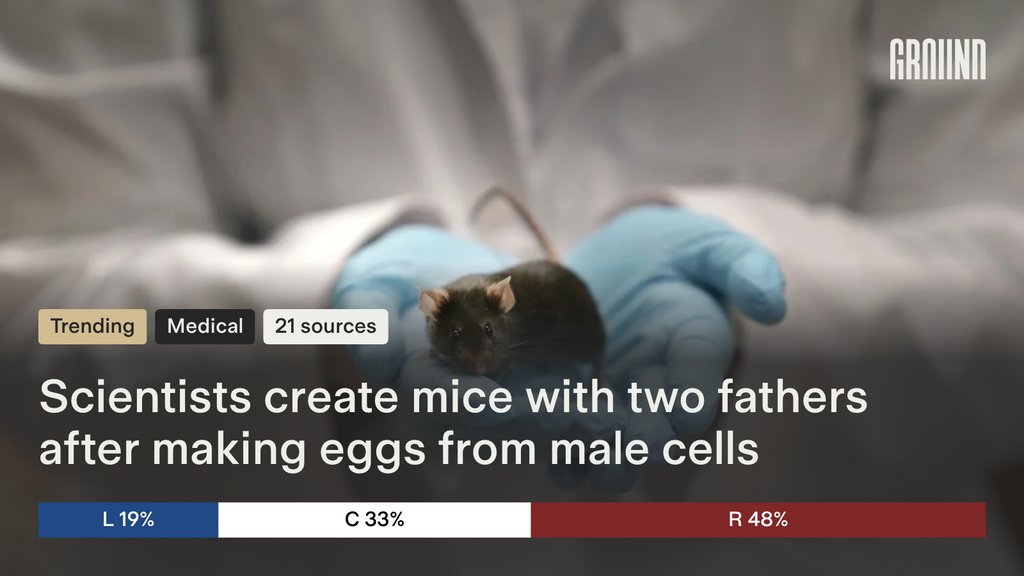 Ground News on Twitter: "Scientists have created mice with two biological fathers by generating ...