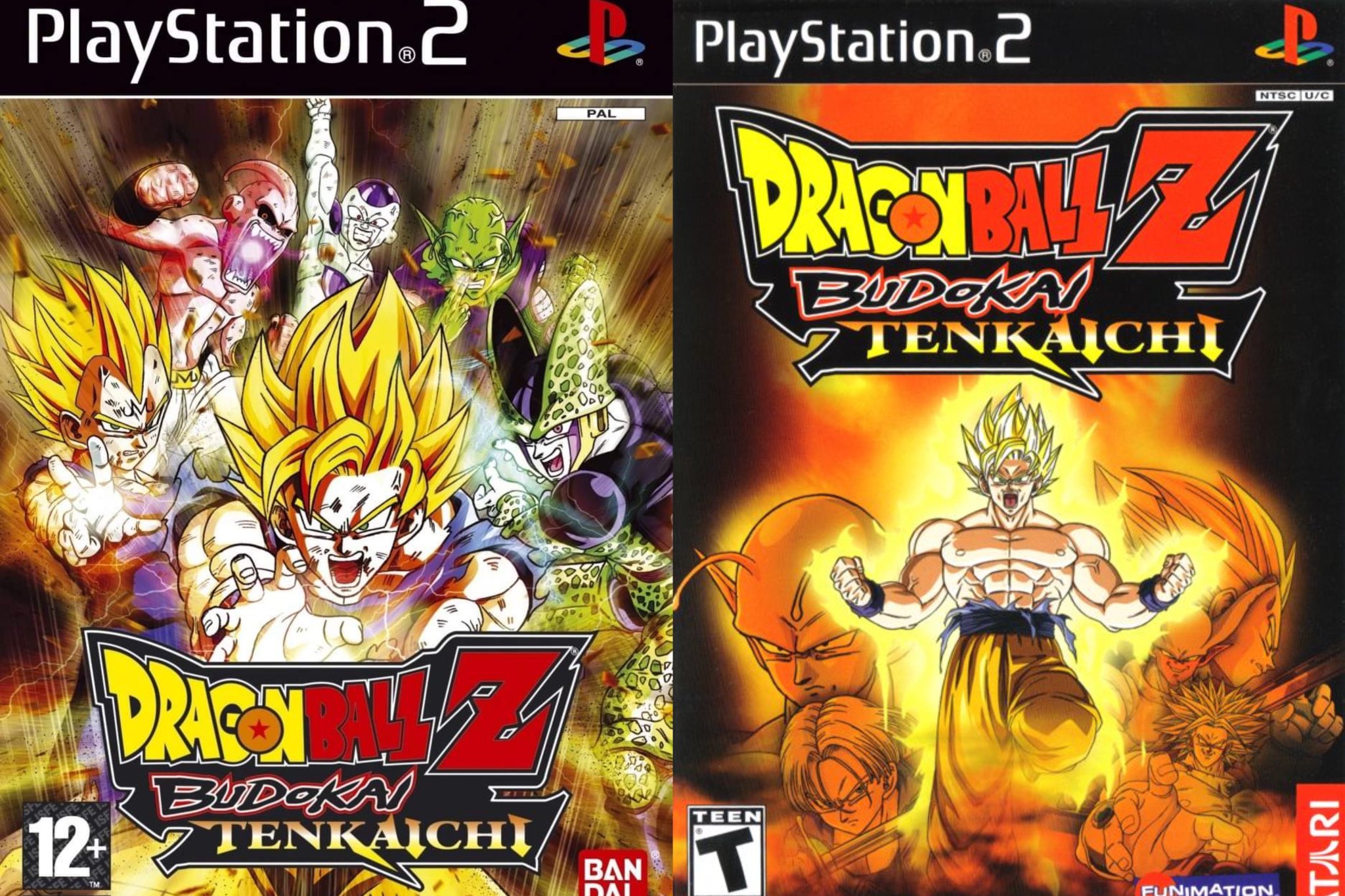 Budokai Tenkaichi Cover