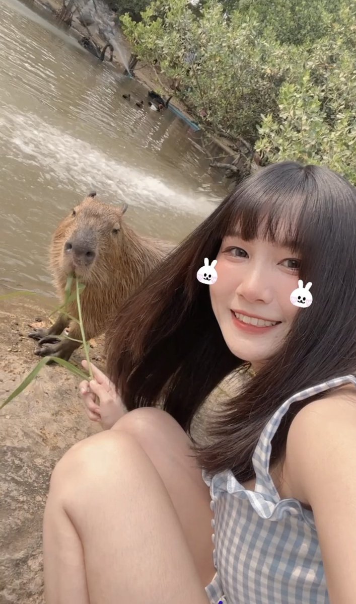 Somsom Euphonie☆ on Twitter: "𝙷𝚊𝚙𝚙𝚢 𝙲𝚊𝚙𝚢~ 🐶🥥"