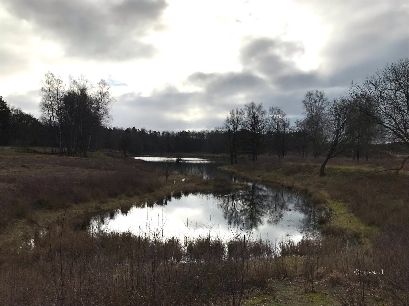 Annie van Beijsterveldt on Twitter: "Goedemorgen. Het is maar somber weer vandaag. Al veel regen ...