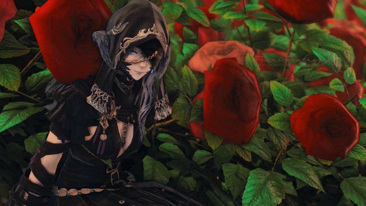 SIDUS〜Fairy＊Cafe | StudioXIV