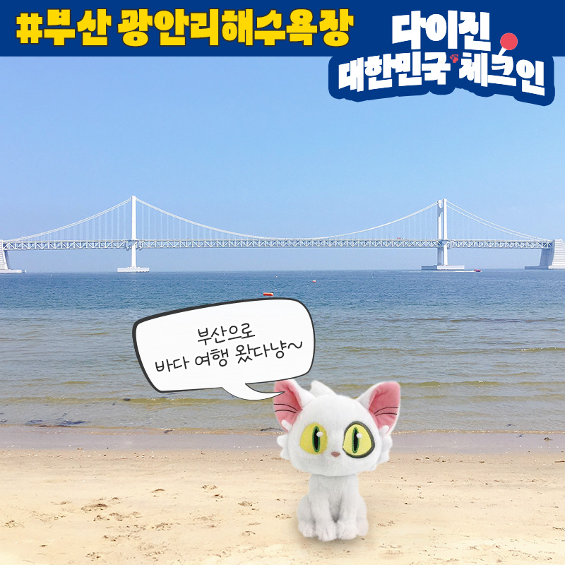 주미디어캐슬 On Twitter 부산 광안리로 바다 여행 다니는 다이진 최고야 짜릿해 댓글로 여행지를 추천해주면 전국 방방곡곡 다이진이 찾아가겠다냥🐱💨 이번