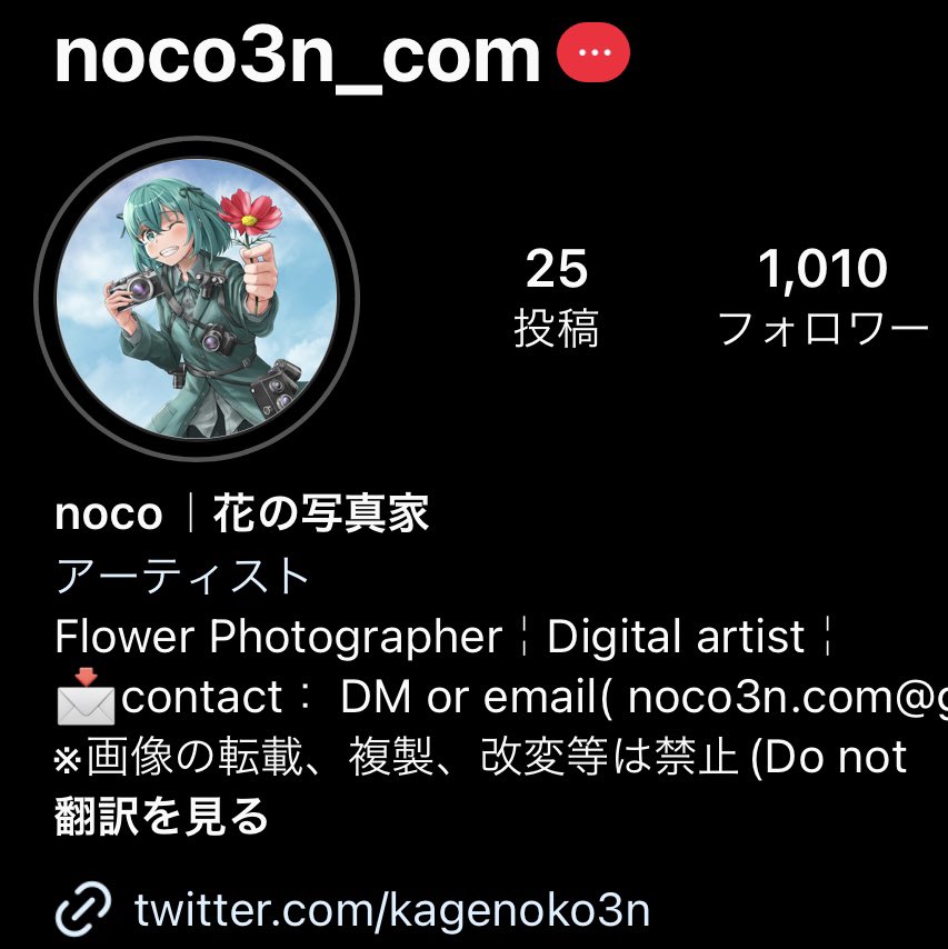 noco｜花の写真家 on Twitter: "【祝】活動再開して1ヶ月経ってないですが、インスタのフォロワー様が1000人超えました！これもいつも応援してくださる皆さんのおかげにほかなりませ ...