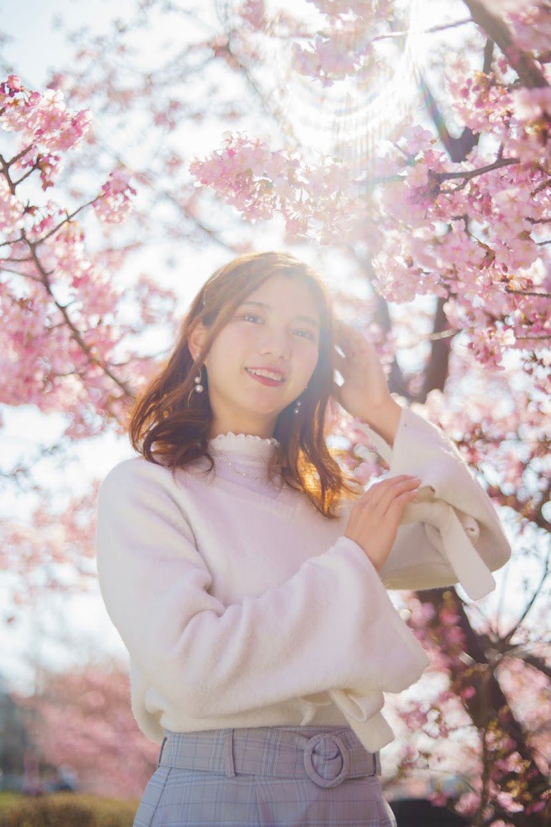 まる【カワコレ関西】 On Twitter 桜の季節 🌸淀の河津桜 🌸photo By Freightstar0930 さん Kawaiicollection カワコレ関西 カワ
