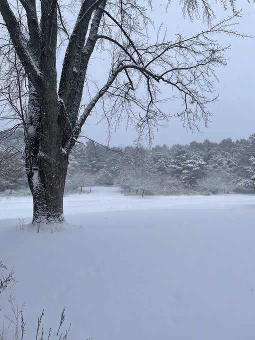 TW Pornstars - Juno Calliope. Pictures and videos from Twitter. Page 6