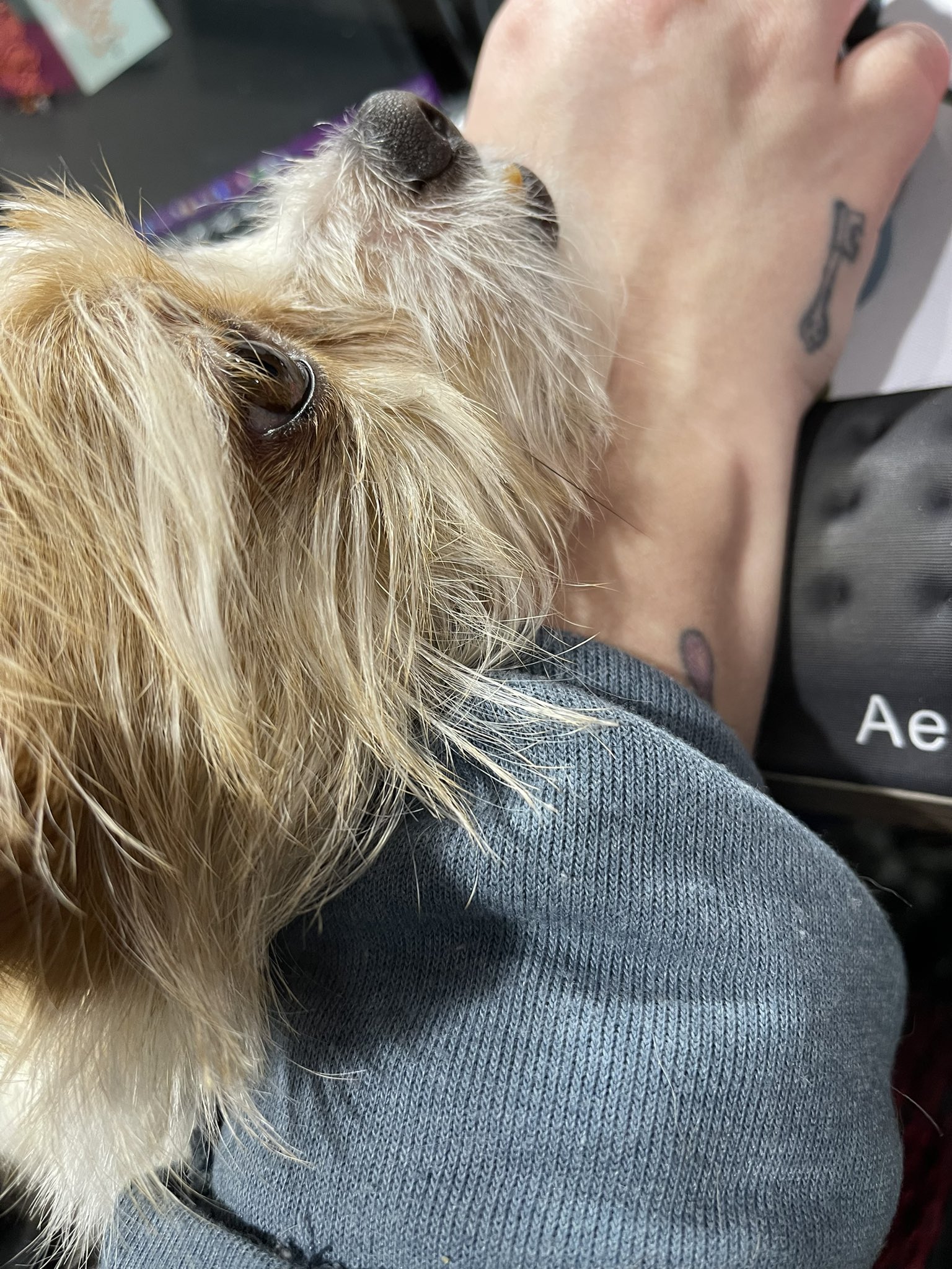 Kayla Pekkala (@KaylaPekkala) / Twitter