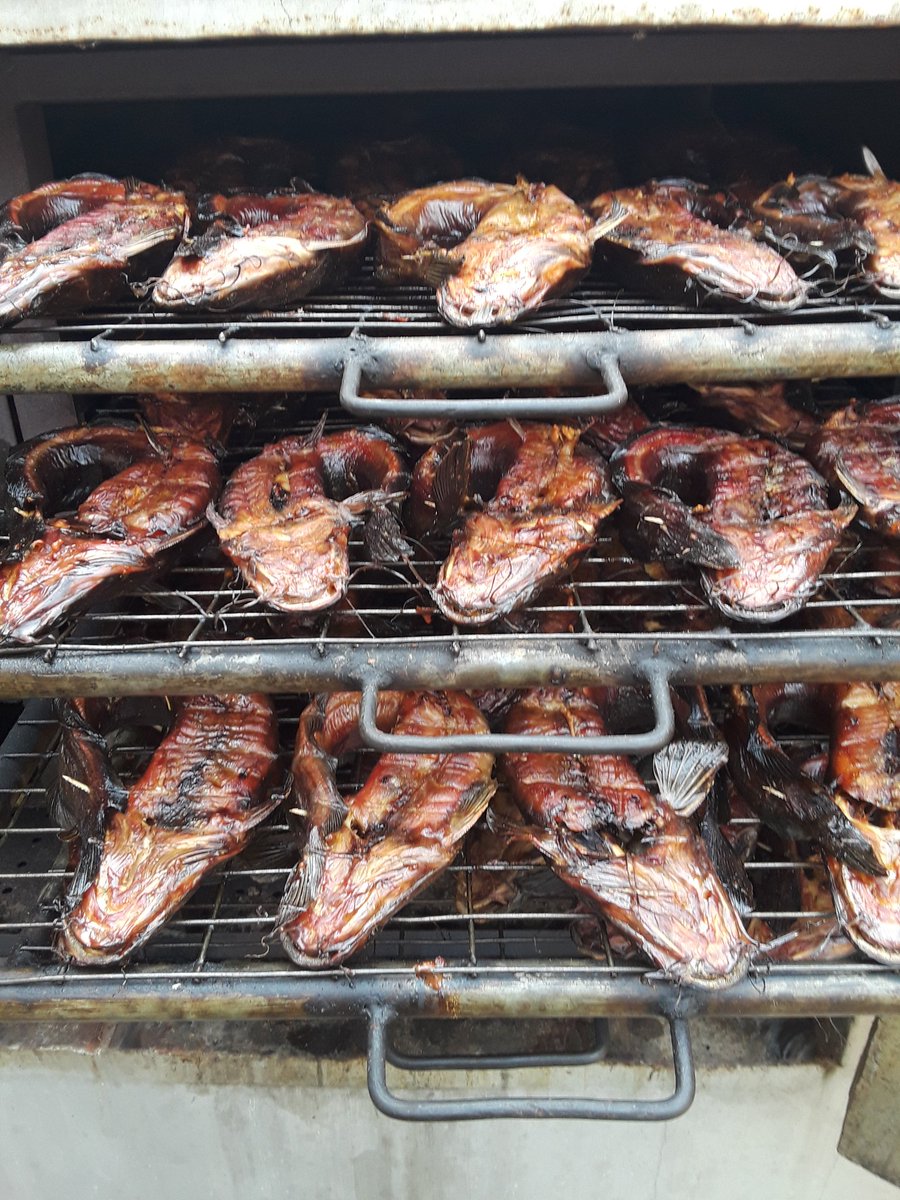 How To Grill Titus Fish In Oven at James Mansell blog