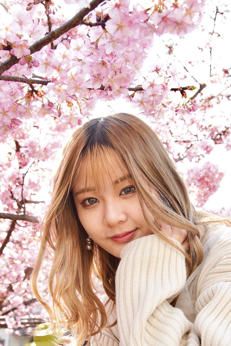 こういち On Twitter カワコレ撮影会 淀水路 河津桜 モデル:木原彩華さん Ayarin0601 Kawaiicollection カワコレ カワコレ関西 木原