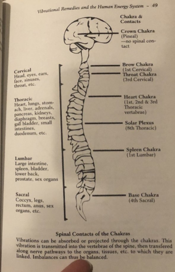 "The Heirarchy of Devouring" (🧵) This UNIverse, including the Astral ...