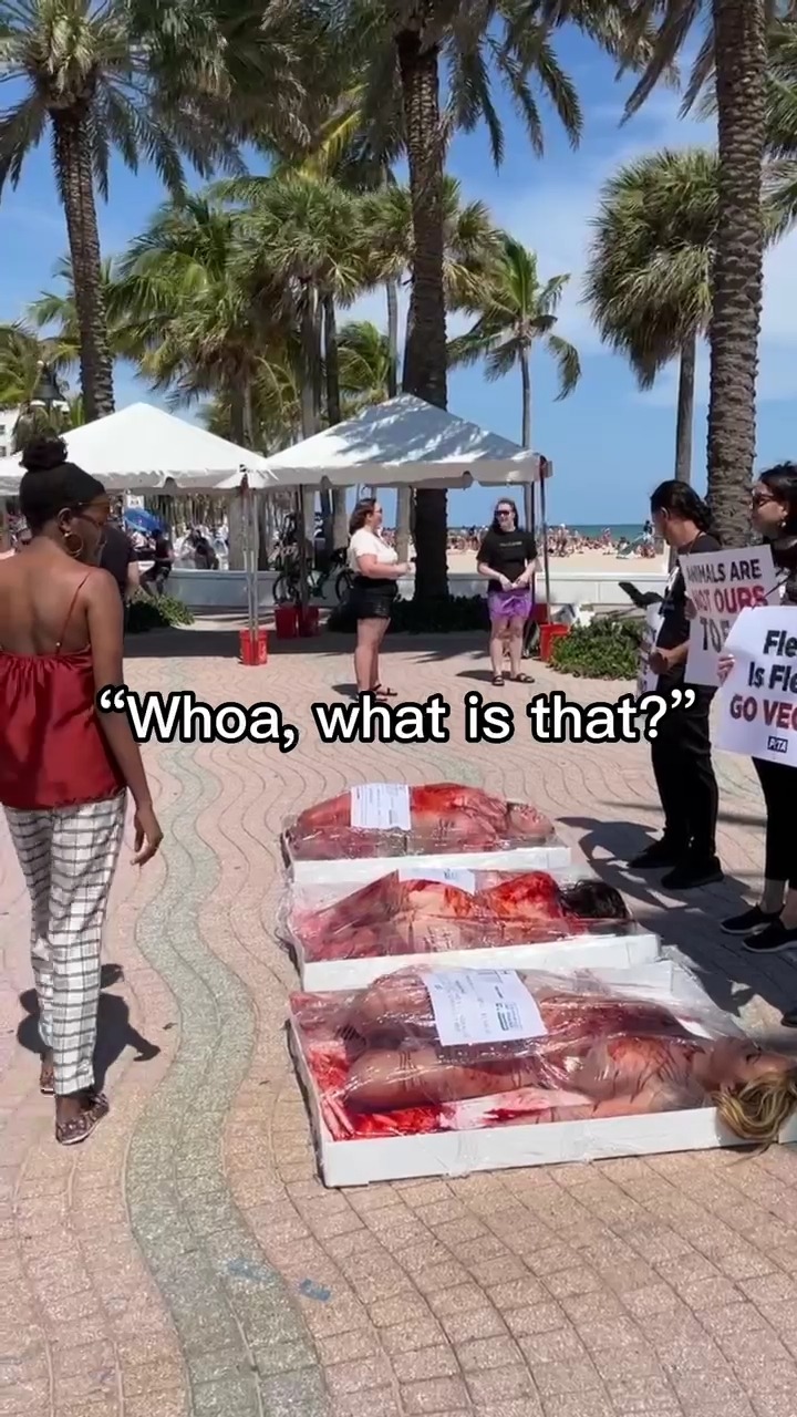 PETA on Twitter: "When you meet your meat 😶 https://t.co/NmqCvOYPO7" / Twitter