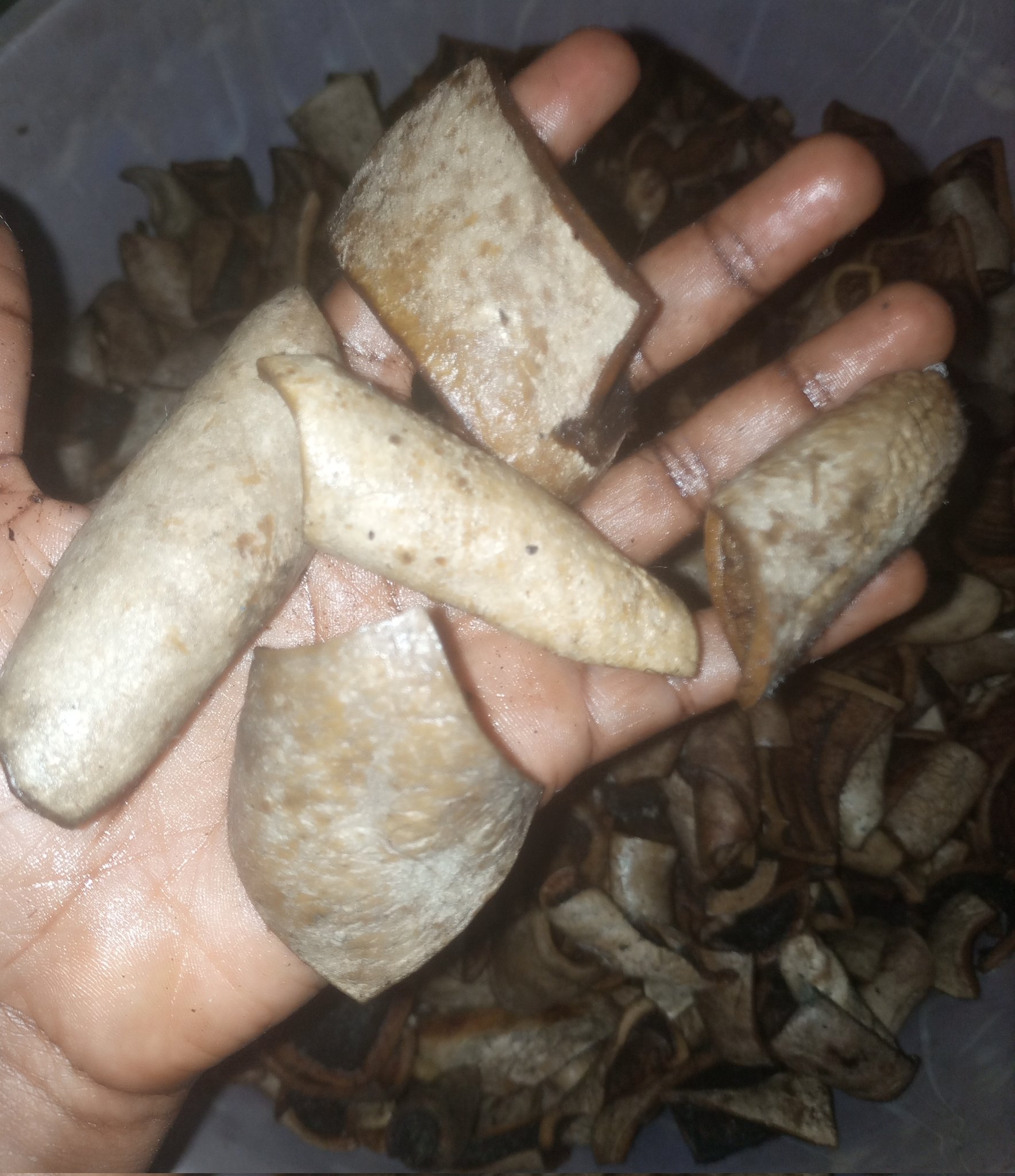 Romzy_Everything_Foods (@Everythinfoods) / Twitter