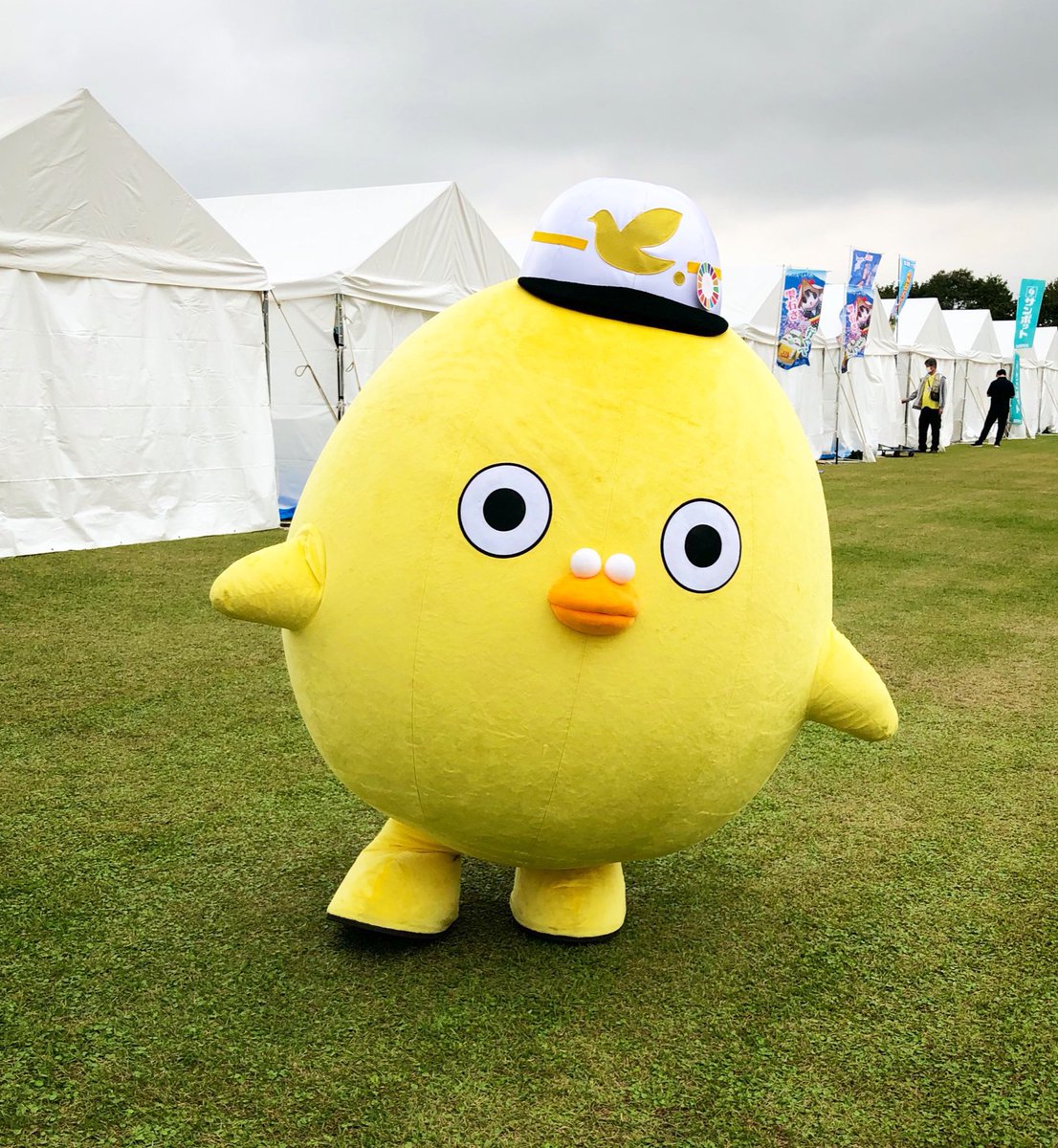 「Fujimocchi, a round yellow pigeon, is th」|Mondo Mascotsのイラスト