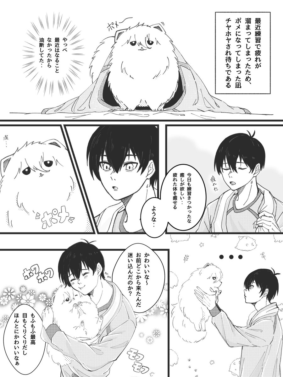 「なぎいさ/ngis 🐈になったisgとそれを見たng 」Lの漫画