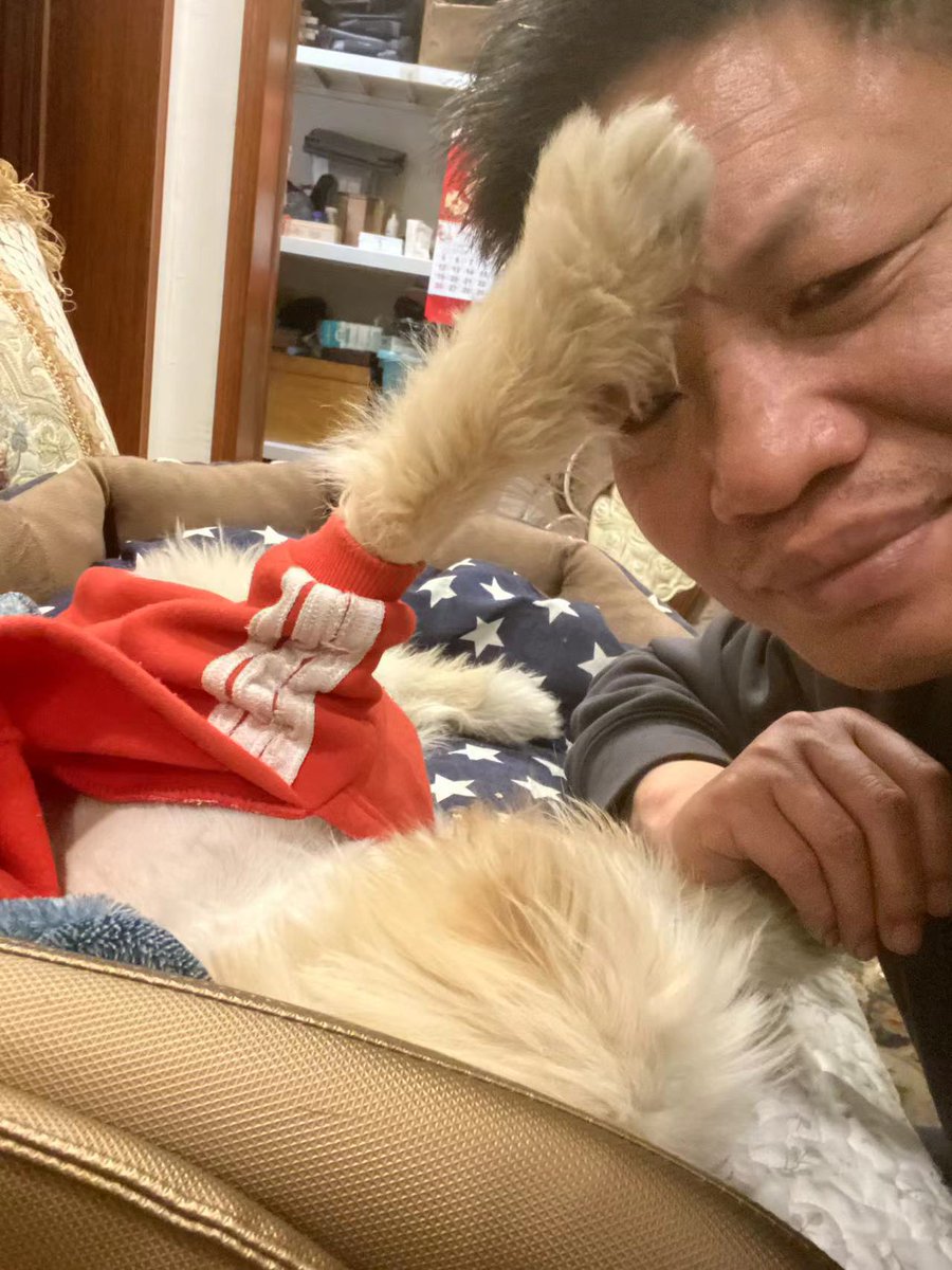贺江兵 On Twitter 小狗昨天理发了,经常欺负我,明天给狗狗打辉瑞第三针疫苗(我都没得打的)。大家周末愉快!🫢