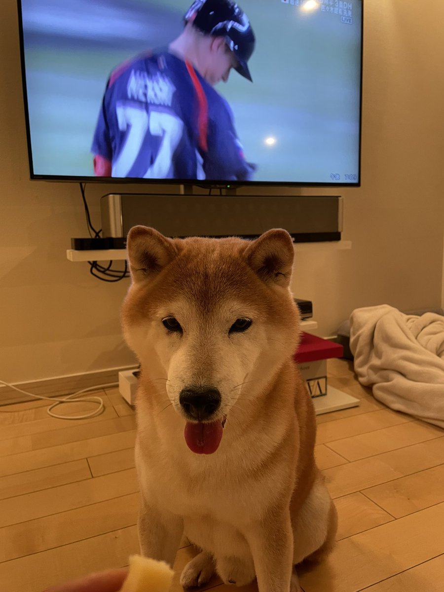 佐々木広人(@_Hiroto_Sasaki) - Twilog (ツイログ)