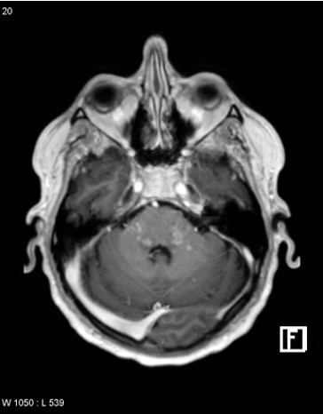 What do these pictures have in common? 1. The 2010 Clippers 2. The ...