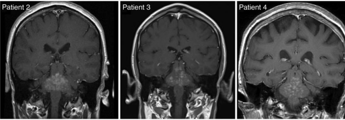 What do these pictures have in common? 1. The 2010 Clippers 2. The ...