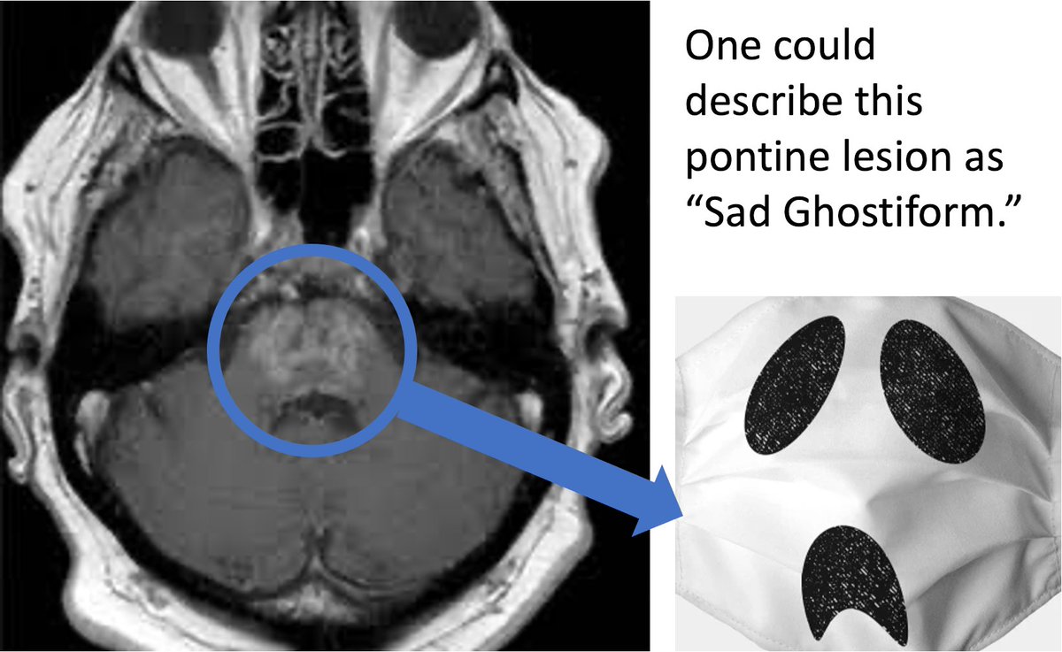 What do these pictures have in common? 1. The 2010 Clippers 2. The ...