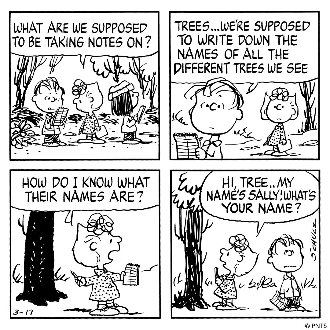 Charles M Schulz Museum On Twitter This Peanuts Comic Strip Was charles-m-schulz-museum-on-twitter-this-peanuts-comic-strip-was