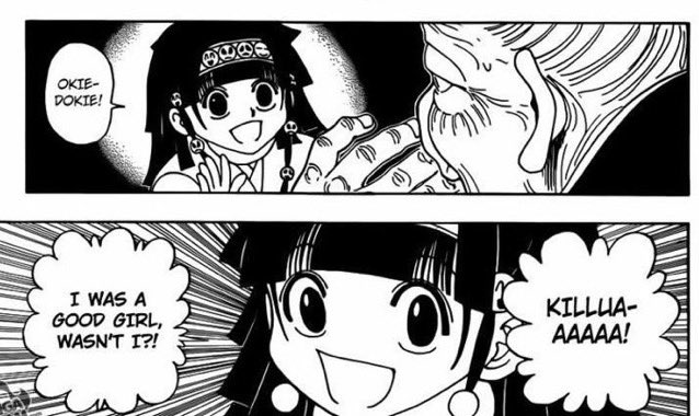 william☆ on Twitter: "RT @hinrighs: Transphobia in the hxh fandom is pretty wack because why is ...