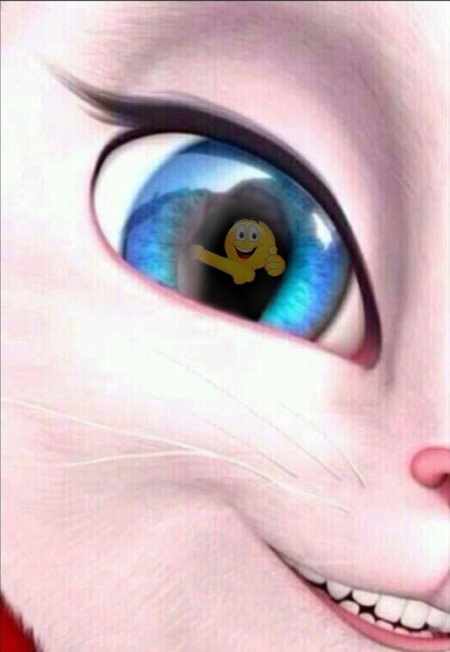 Talking Tom And Angela Eyes