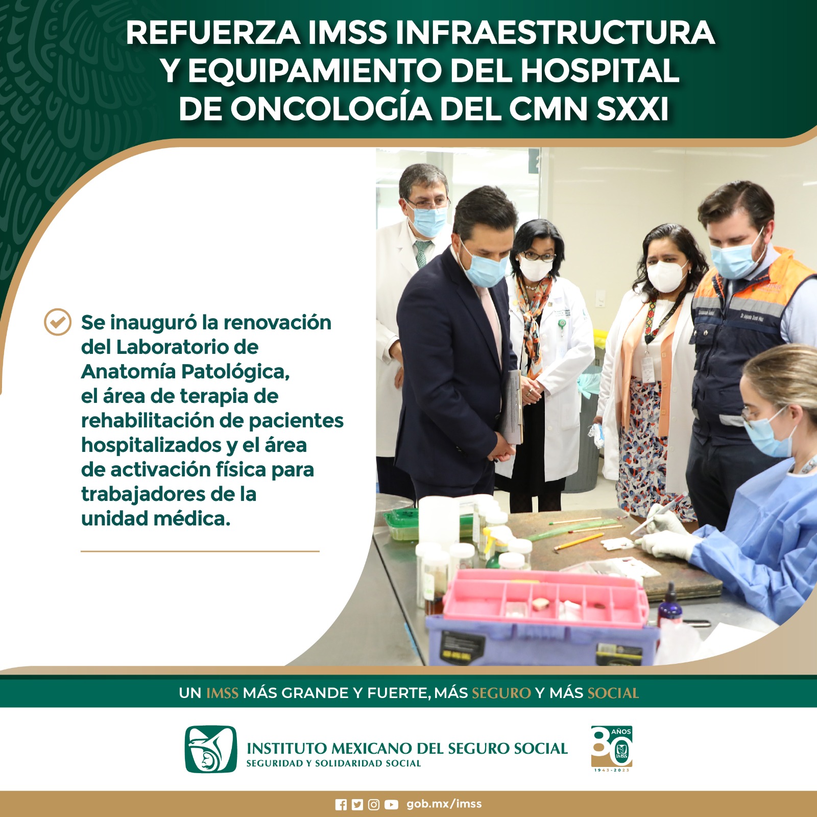 IMSS on Twitter: "@peperra33 @zoerobledo Buenas noches, para el Instituto Mexicano del Seguro ...