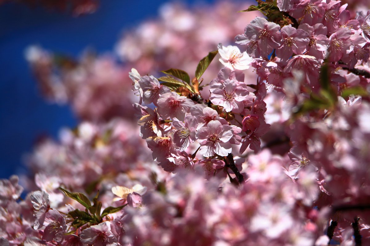 Jun & Ridge(@SystemJun) - Twilog