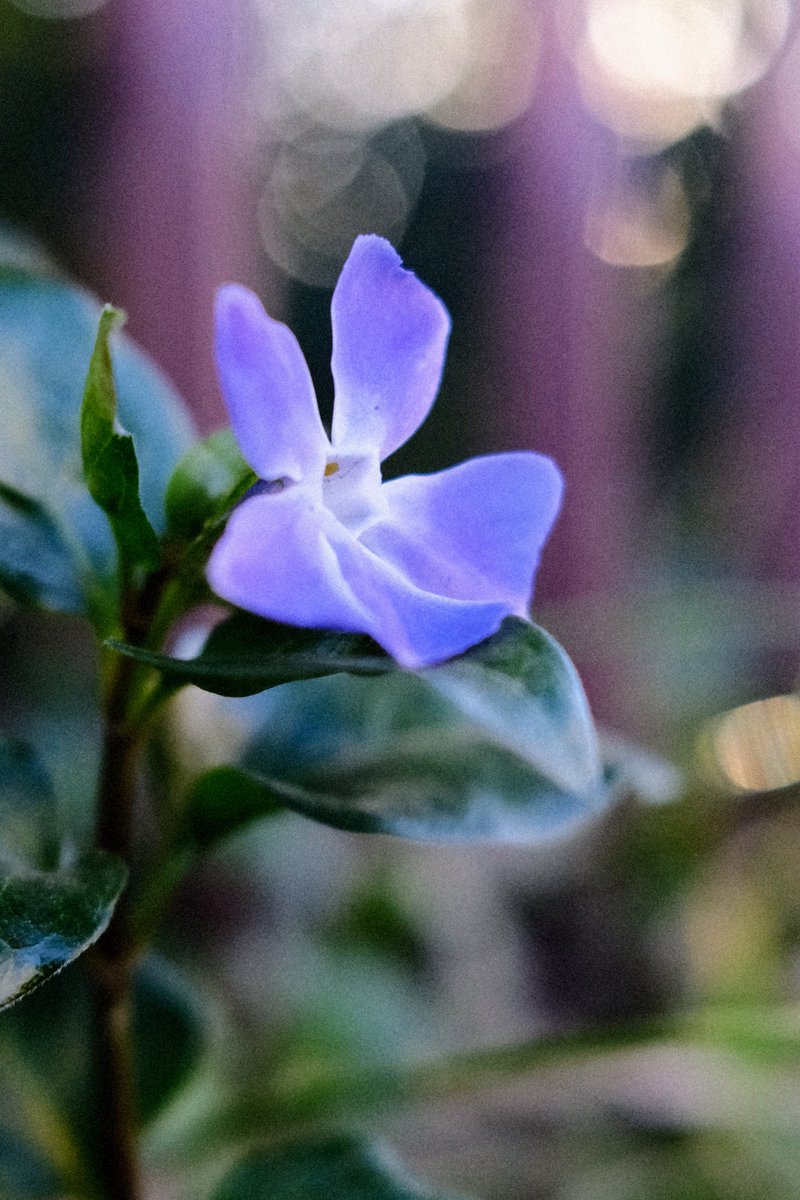 翻訳会社テクノ・プロ・ジャパン | Techno Pro Japan, Inc. | TPJ(@TechnoProJapan) - Twilog