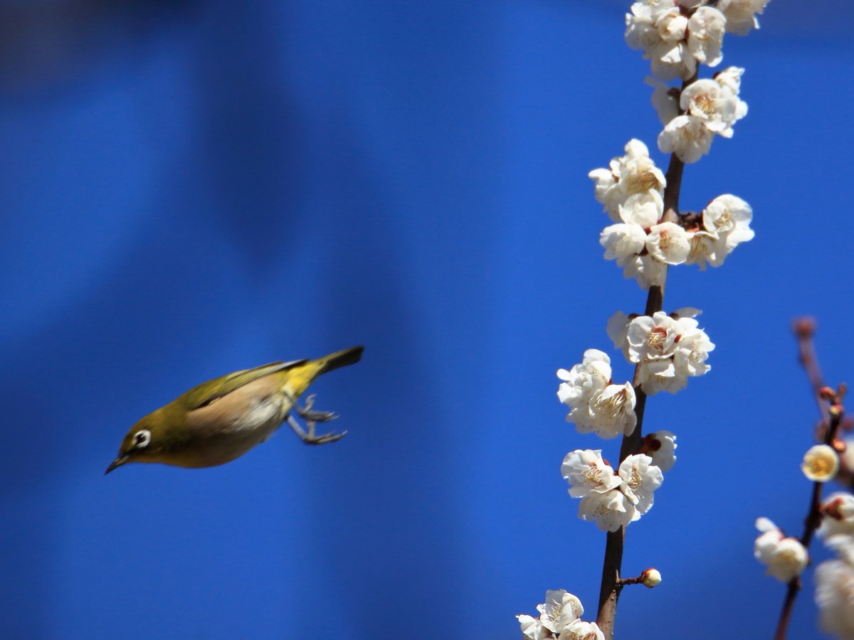 Jun & Ridge(@SystemJun) - Twilog