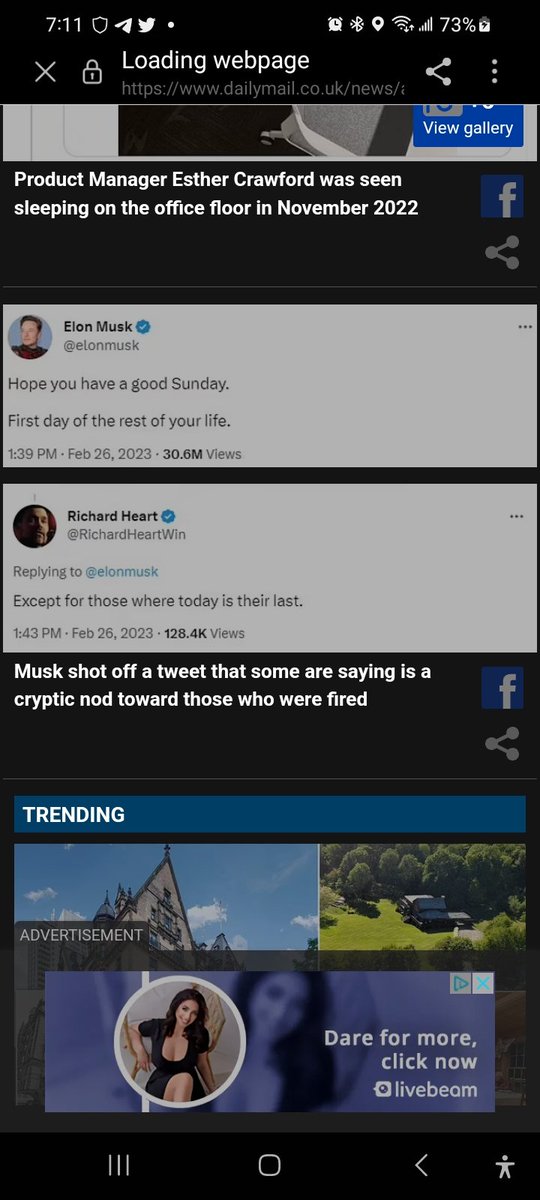 Hecks Whale Bought 🦑 on Twitter: "https://dailymail.co.uk/news/article-11797159/Elon-Musk-sacks ...
