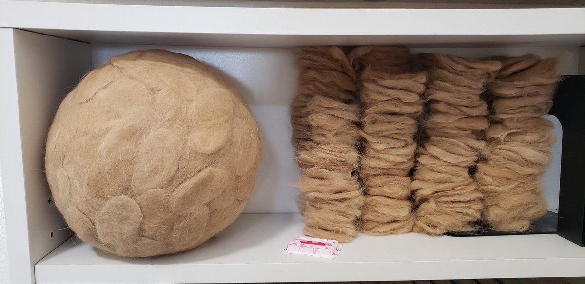 まにむが火星にあらわれた(@manimu_) - Twilog