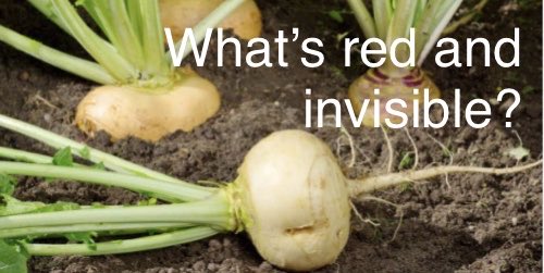 John Conmy On Twitter Johnlwalmsley Campbellclaret 51dawd9ha2 Twitter