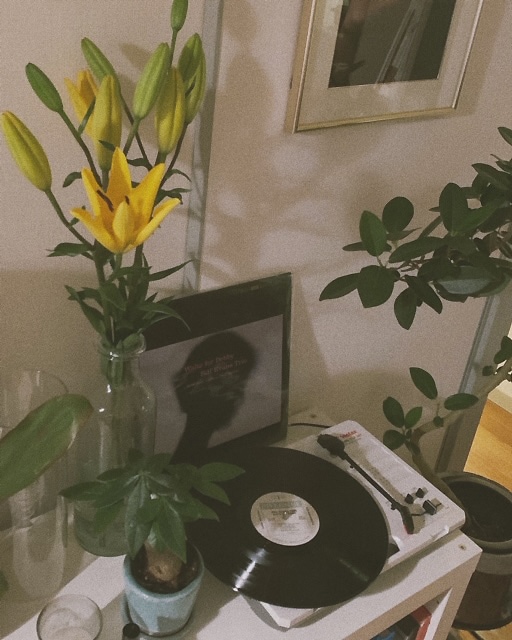 GINZA on Twitter: "【 #私と部屋 】暮らしに添えるヴィンテージと花。日常にクリエイターのエッセンスを散りばめて https://buff.ly/38fNqFW"