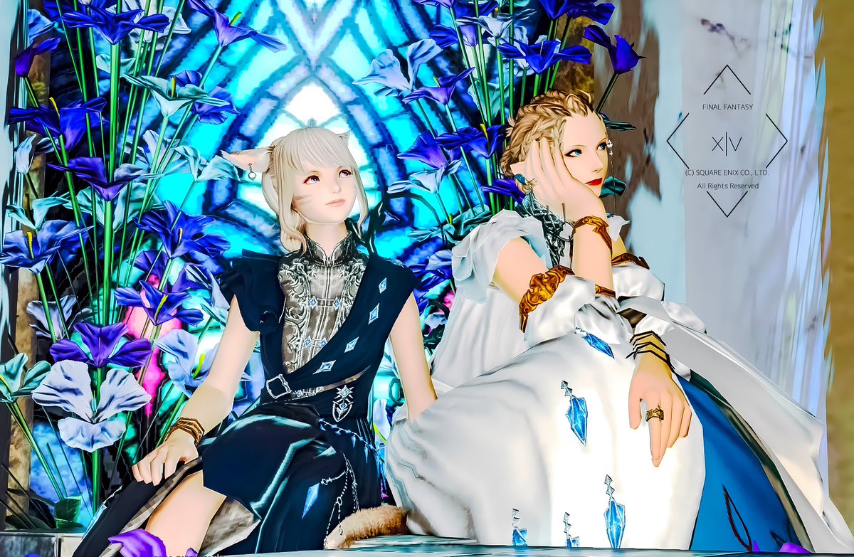 studio_noir | StudioXIV