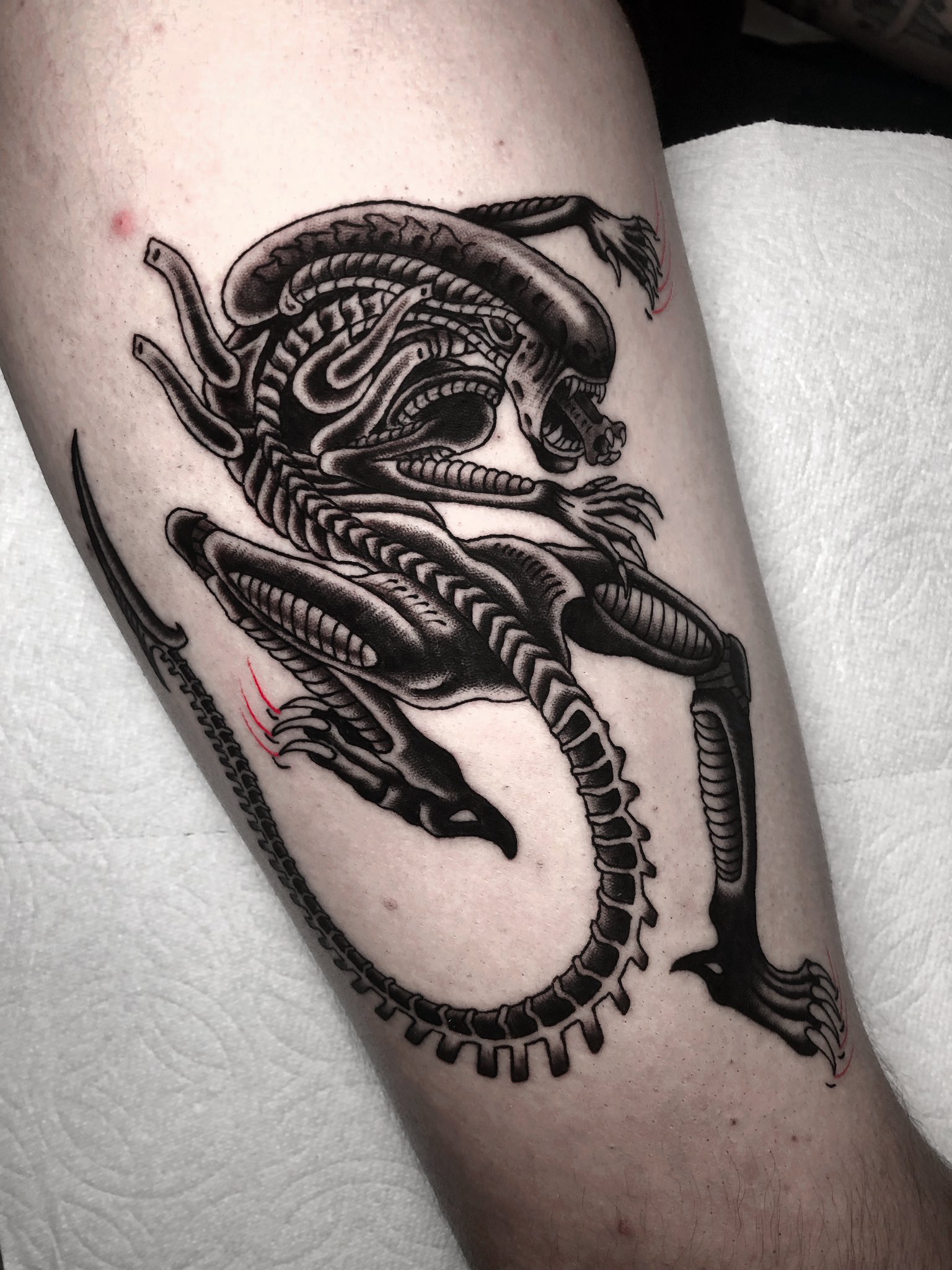 Xenomorph Tattoo