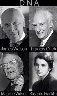 Prof. Frank McDonough on Twitter: "28 February 1953. Francis Crick and ...