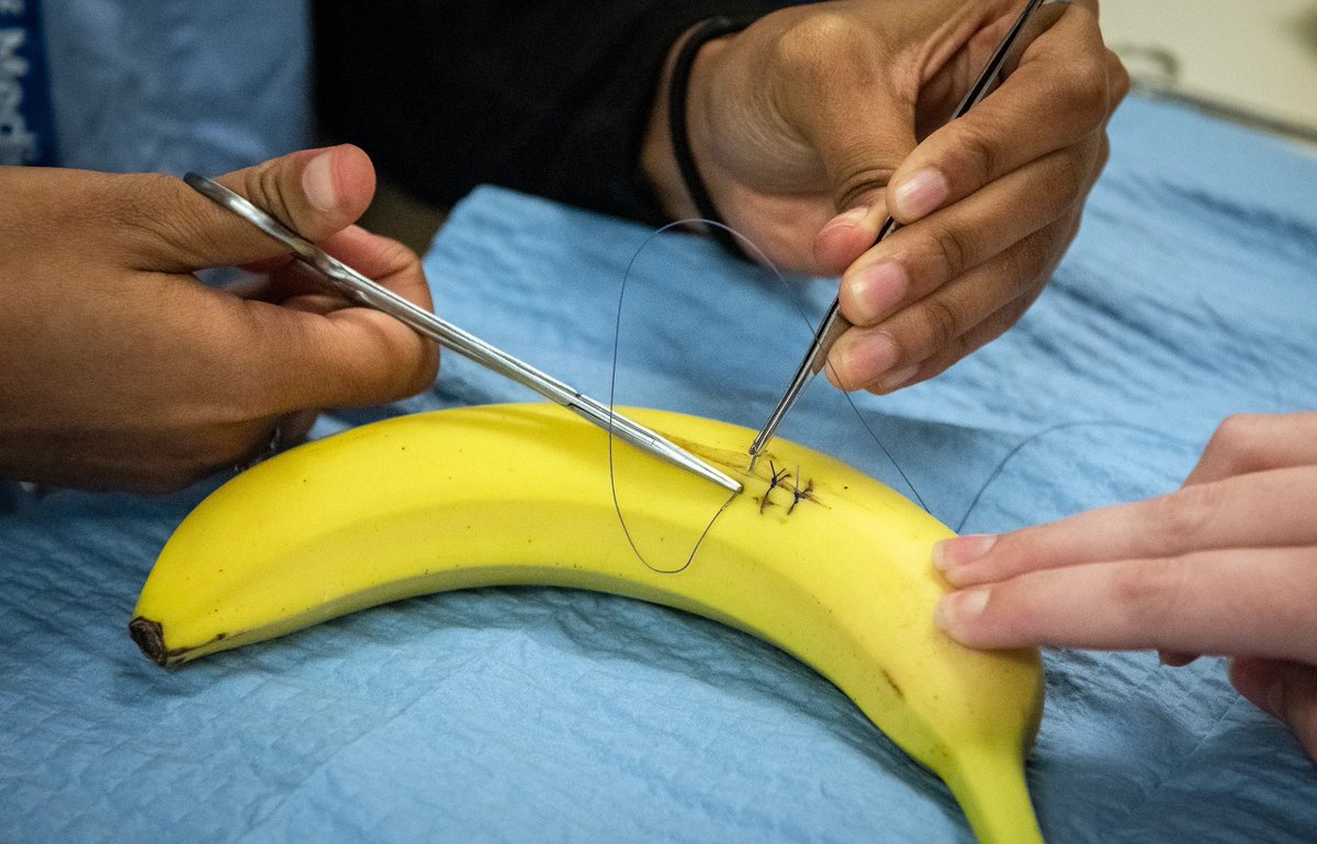 The first time I stitched up a wound, my boss rolled his eyes, took it ...